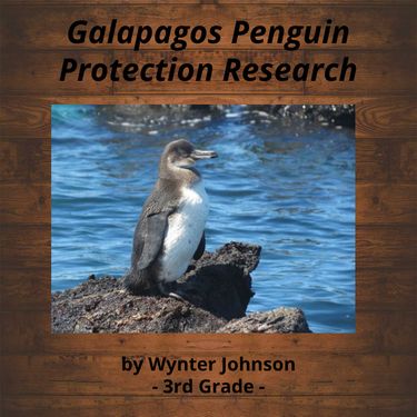 Book Creator | Galapagos Penguin Protection Research
