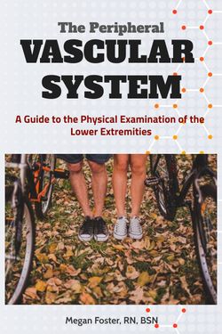 Book Creator | The Peripheral Vascular System: A Guide to Physical ...