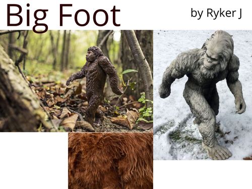 Book Creator | Big Foot