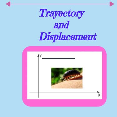 Book Creator | TRAJECTORY AND DISPLACEMENT 4E