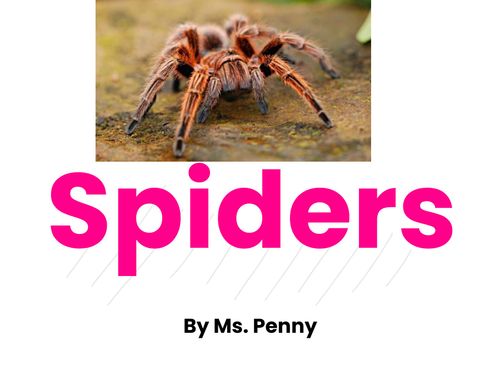 Book Creator | Spiders