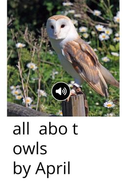 Book Creator | All About Owls