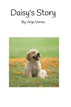 Book Creator | Daisy's Story