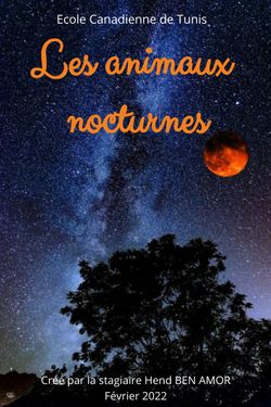 Book Creator | Les animaux nocturnes