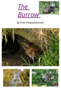 Book Creator | The Burrow
