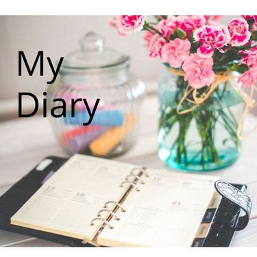 Book Creator | My Dumb Diary
