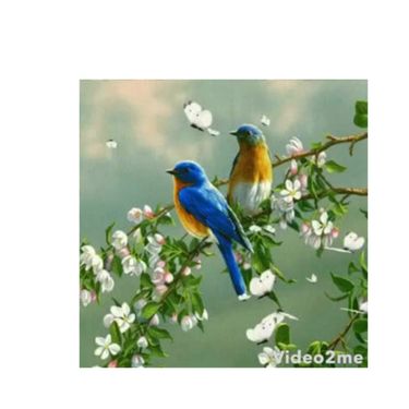 Book Creator | gazafxuli