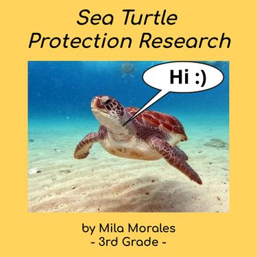 Book Creator | Sea Turtle Protection Research