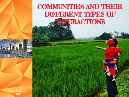 Book Creator | Communities and their different types of Interactions