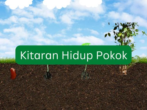 Book Creator | Kitaran Hidup Pokok