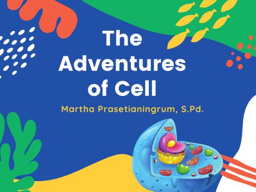 Book Creator | THE ADVENTURE OF CELL