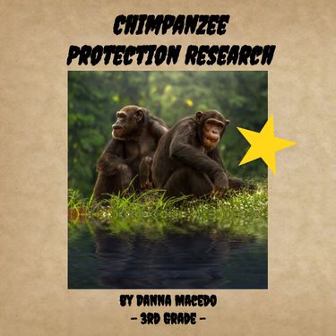 Book Creator | Chimpanzee Protection Research