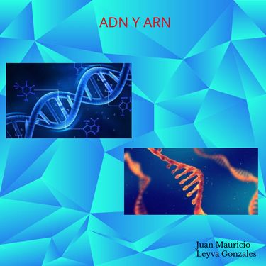 Book Creator | El ADN y ARN