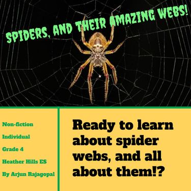 Book Creator | Spiders, and their amazing webs!