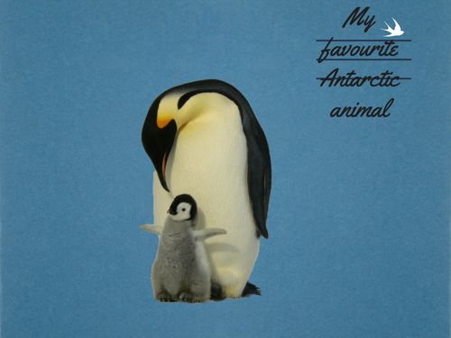 Book Creator | Emperor penguins