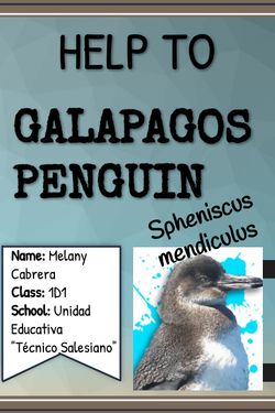 Book Creator | Galapagos Penguin