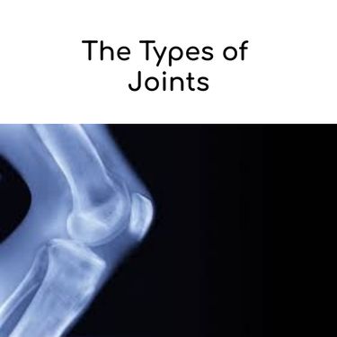 Book Creator | Joint Book Project