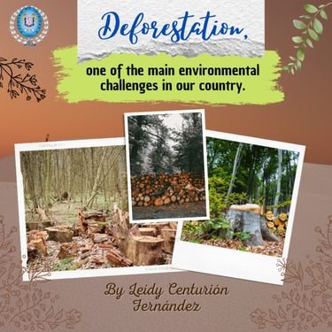 Book Creator | DEFORESTATION