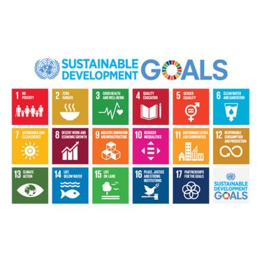 Book Creator | AGENDA 2030- GOAL 14: VITA SOTT'ACQUA