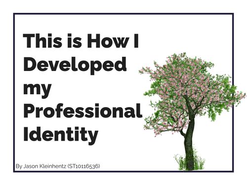 Book Creator | My Professional Identity eBook