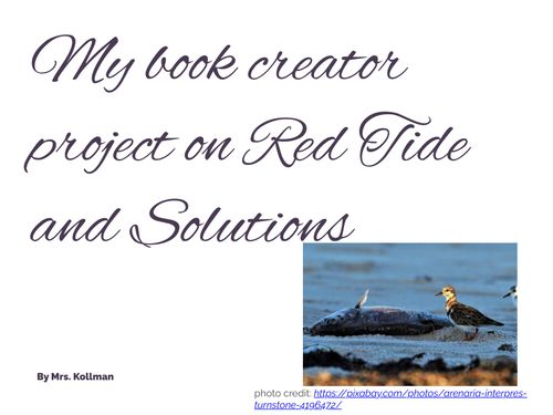 Book Creator | draft of red tide book