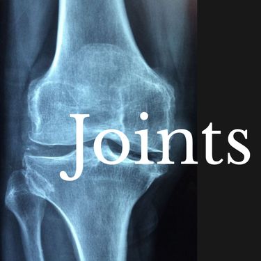 Book Creator | Joints