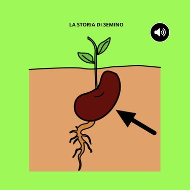 Book Creator | La storia di " Semino"