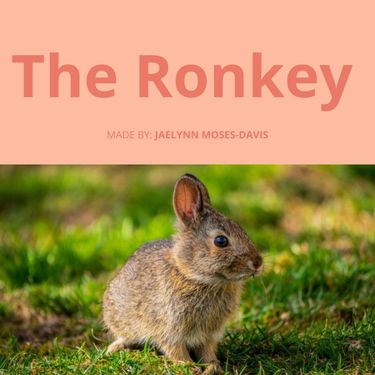 Book Creator | The Ronkey