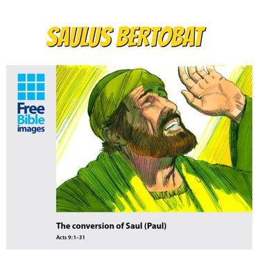 Book Creator | SAULUS BERTOBAT