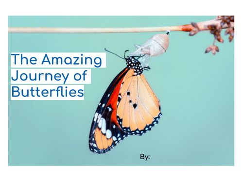 Book Creator | The Amazing Journey of Butterflies