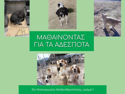 Book Creator | Μαθαίνοντας για τα αδέσποτα