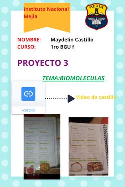Book Creator | proyecto 3