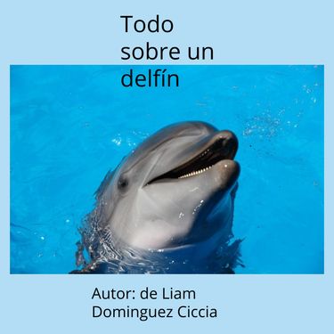 Book Creator | delfin