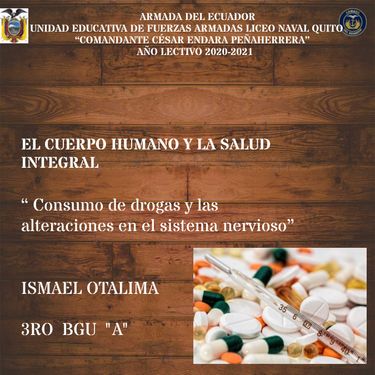 Book Creator | El cuerpo humano y la salud integral