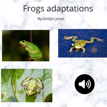 Book Creator | Frogs