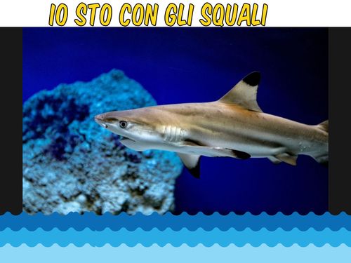 Book Creator | Io sto con gli squali