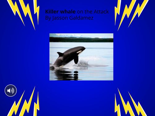 Book Creator | Killer Whale on the Attack