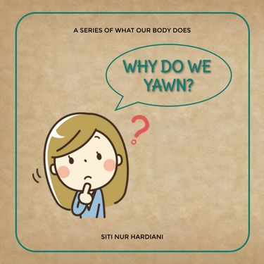 Book Creator | Why do we yawn?