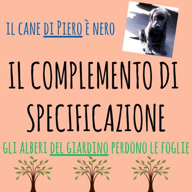 Book Creator | il complemento di specificazione