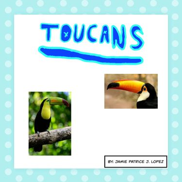 Book Creator | ~TOUCANS~