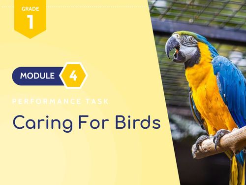 Book Creator | EL Education ELA G1:M4 Performance Task