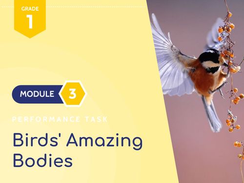 Book Creator | EL Education ELA G1:M3 Performance Task