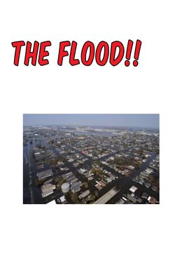 Book Creator | The Flood