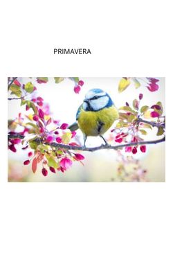 Book Creator | Primavera