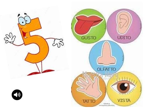 Book Creator | I 5 sensi