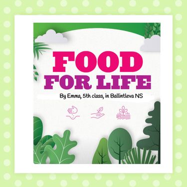Book Creator | Food for Life