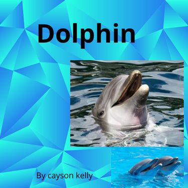 Book Creator | Dolphin