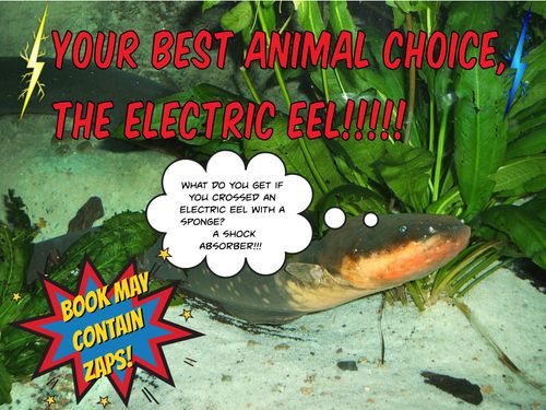 Book Creator | Electric Eel