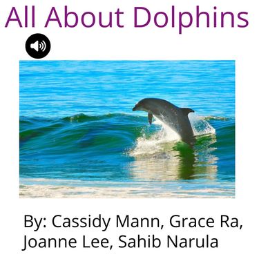 Book Creator | All About Dolphins