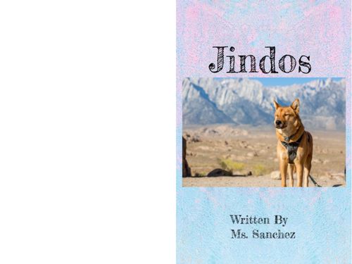 Book Creator | Jindos Written by Ms. Sanchez